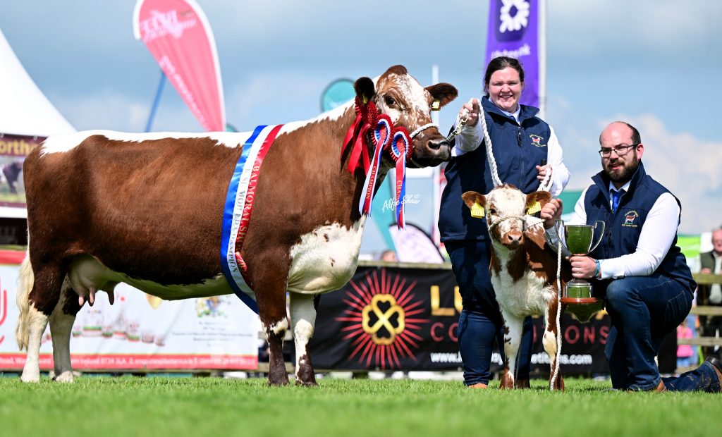Balmoral 2024 - Results - Irish Moiled Cattle Society
